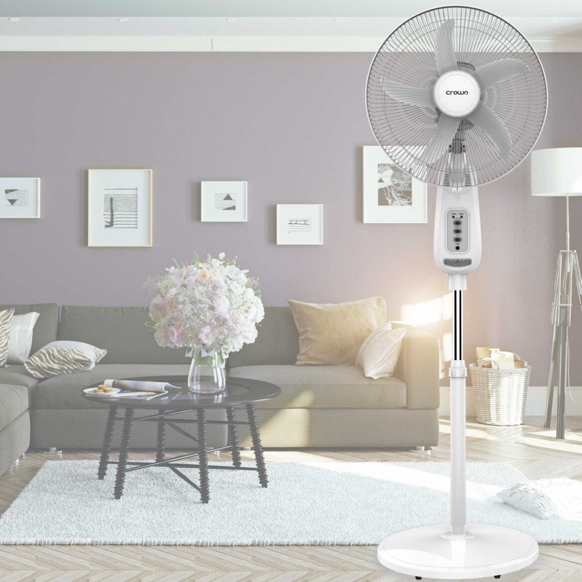 Crownline Rechargeable Fan | Buy Rechargeable Fan at Best Price