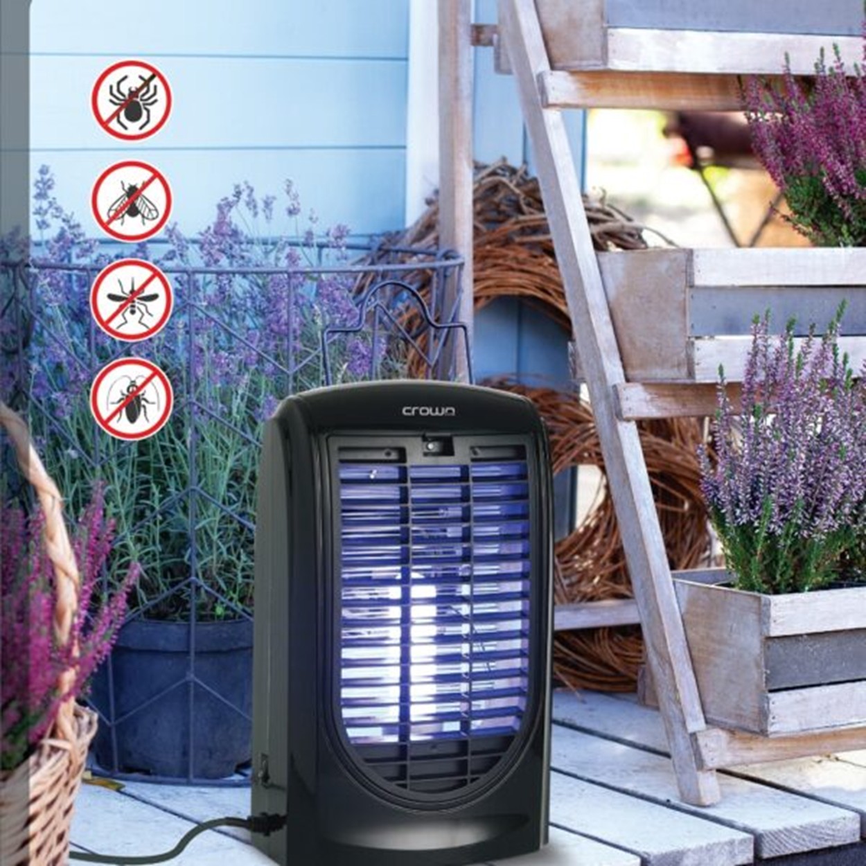 Your Guide to Mosquito-Free Living at Home